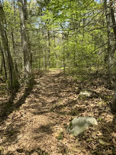 Best Lake Trails In Wrentham Alltrails