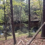 Wildcat Falls, New Hampshire - 2,110 Reviews, Map | AllTrails