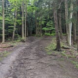 Sprague Brook Park Trail, New York - 1,293 Reviews, Map | AllTrails