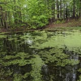 Sprague Brook Park Trail, New York - 1,293 Reviews, Map | AllTrails