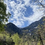 Neff's Canyon Loop, Utah - 2,554 Reviews, Map | AllTrails