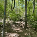 Cascade Falls Loop Trail, Massachusetts - 875 Reviews, Map | AllTrails