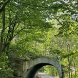 Chedoke Radial Trail, Ontario, Canada - 722 Reviews, Map | AllTrails