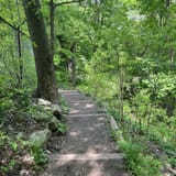 Chedoke Radial Trail, Ontario, Canada - 722 Reviews, Map | AllTrails