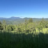 Fitton Green Natural Area Trail, Oregon - 381 Reviews, Map | AllTrails
