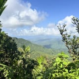 Mount Britton Tower Trail, Puerto Rico - 1,823 Reviews, Map | AllTrails