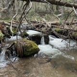 Whipple Trail, Utah - 297 Reviews, Map | AllTrails