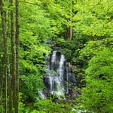 Soco Falls Trail, North Carolina - 771 Reviews, Map | AllTrails