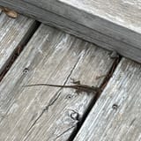 Captain Leonard Destin Park Trail, Florida - 5 Reviews, Map | AllTrails