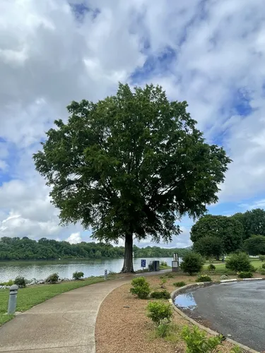 Best Paved Trails in Chattanooga | AllTrails