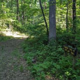 Low Gap Trail , Indiana - 1,445 Reviews, Map | AllTrails