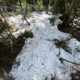 Imp Trail, New Hampshire - 467 Reviews, Map | AllTrails