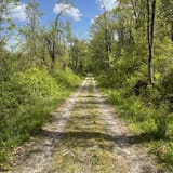 Quabbin Reservoir Gates 11-12 Loop Trail, Massachusetts - 242 Reviews ...