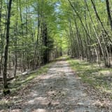 Quabbin Reservoir Gates 11-12 Loop Trail, Massachusetts - 242 Reviews ...