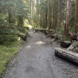 Sol Duc Falls Nature Trail to Appleton Pass Trail, Washington - 290 ...