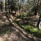 Cypress Trail to Boulders Loop, Arizona - 1,414 Reviews, Map | AllTrails