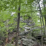 Reeves Brook Loop Trail, New York - 4,689 Reviews, Map | AllTrails
