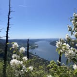 Angel's Rest, Oregon - 8,336 Reviews, Map | AllTrails
