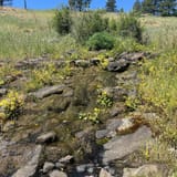 Coyote Wall Loop Trail, Washington - 2,903 Reviews, Map | AllTrails