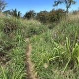 Ka'Awaloa - Captain Cook Monument Trail, Hawaii, Hawaii - 2,993 Reviews ...