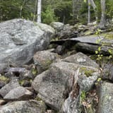 Crane Mountain Loop Hike, New York - 1,306 Reviews, Map | AllTrails