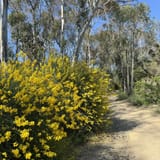Fullerton Loop, California - 4,098 Reviews, Map | AllTrails