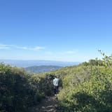 Verna Dunshee Loop, California - 266 Reviews, Map | AllTrails