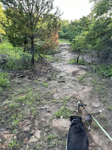 Best Easy Trails in Sand Springs | AllTrails