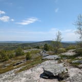 Blue Job Mountain Loop, New Hampshire - 2,051 Reviews, Map | AllTrails