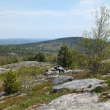 Blue Job Mountain Loop, New Hampshire - 2,051 Reviews, Map | AllTrails