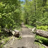 Cascade Falls Loop Trail, Massachusetts - 875 Reviews, Map | AllTrails