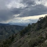Mount Morrison Trail, Colorado - 5,813 Reviews, Map | AllTrails