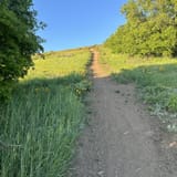 Temple Loop, Utah - 229 Reviews, Map | AllTrails