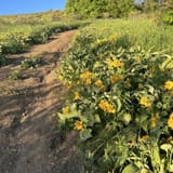 Temple Loop, Utah - 229 Reviews, Map | AllTrails