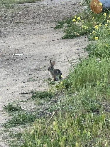 Best Views Trails in Porter Ranch | AllTrails