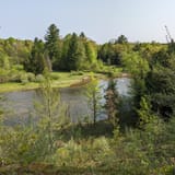 The Manistee River Loop Trail, Michigan - 2,108 Reviews, Map | AllTrails