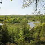 The Manistee River Loop Trail, Michigan - 2,108 Reviews, Map | AllTrails