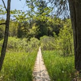 The Manistee River Loop Trail, Michigan - 2,090 Reviews, Map | AllTrails