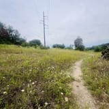 Paluxy River Trail, Texas - 364 Reviews, Map | AllTrails