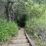 Murphy Ranch Trail, California - 3,859 Reviews, Map | AllTrails