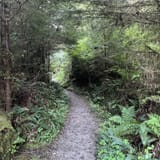 Quinault Loop, Washington - 1,795 Reviews, Map | AllTrails