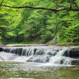 Wintergreen Gorge Trail, Pennsylvania - 586 Reviews, Map | AllTrails