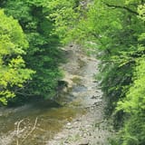 Wintergreen Gorge Trail, Pennsylvania - 586 Reviews, Map | AllTrails