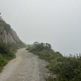 Old Colma Road Loop, California - 2,134 Reviews, Map | AllTrails