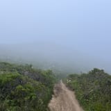 Old Colma Road Loop, California - 2,134 Reviews, Map | AllTrails