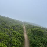 Old Colma Road Loop, California - 2,134 Reviews, Map | AllTrails