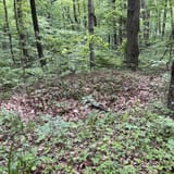 Low Gap Trail , Indiana - 1,445 Reviews, Map | AllTrails