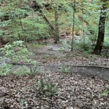 Low Gap Trail , Indiana - 1,445 Reviews, Map | AllTrails