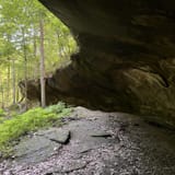 Low Gap Trail , Indiana - 1,445 Reviews, Map | AllTrails