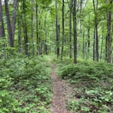 Low Gap Trail , Indiana - 1,445 Reviews, Map | AllTrails